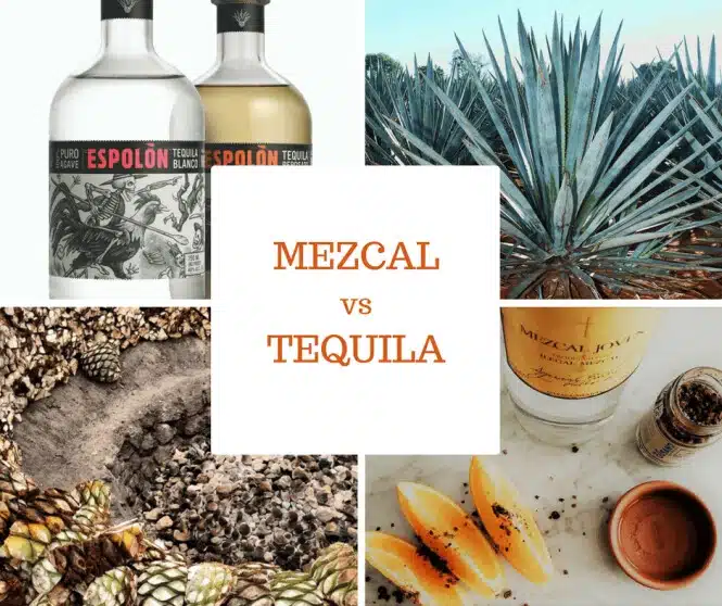 Mezcal - History & difference to tequila | Tins & Tales